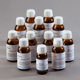 Agar 100 Resin Kit