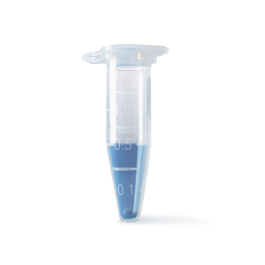 Elite Pre-stained Protein Ladder