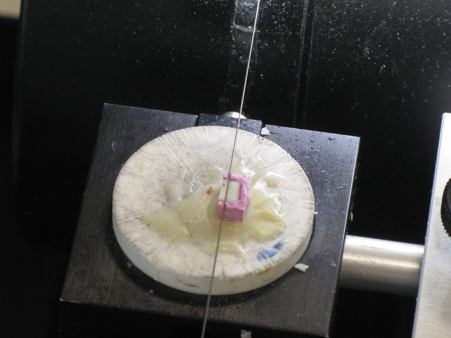 Preparation of tooth enamel wafers for Transverse Microradiography (TMR ...